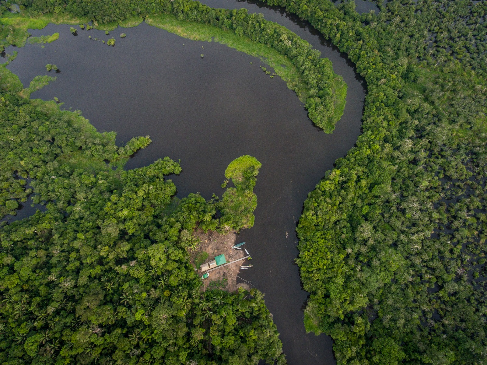 Yasuni Rainforest - Shuar Cultural Center